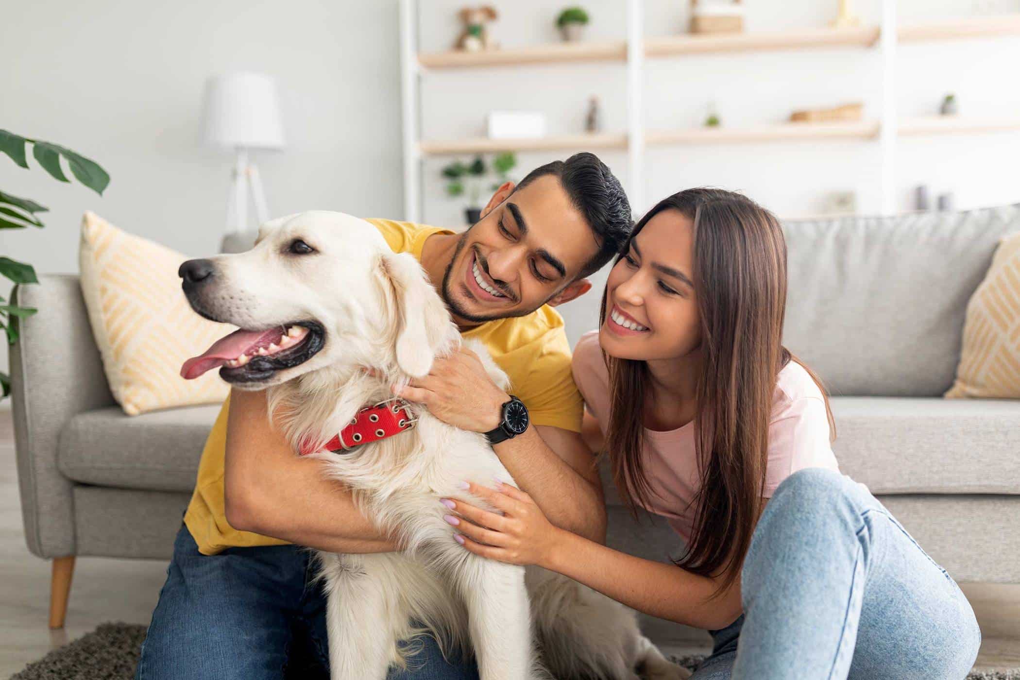 The Best Features For Pet-Friendly Home Design | Timber Rock ...